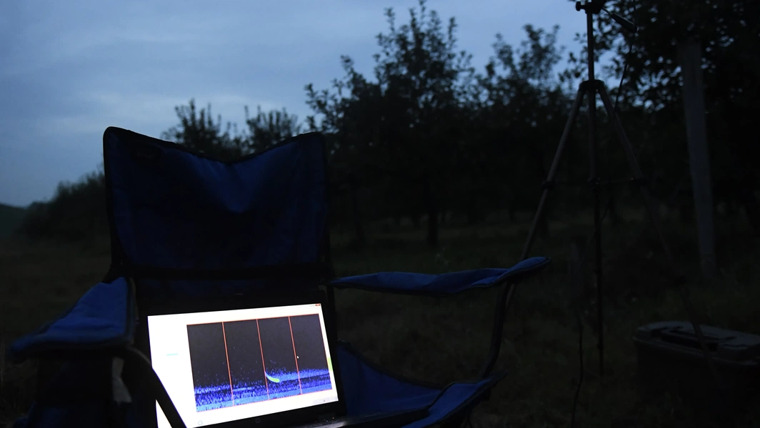 French solar farms linked to reduced bat feeding activity