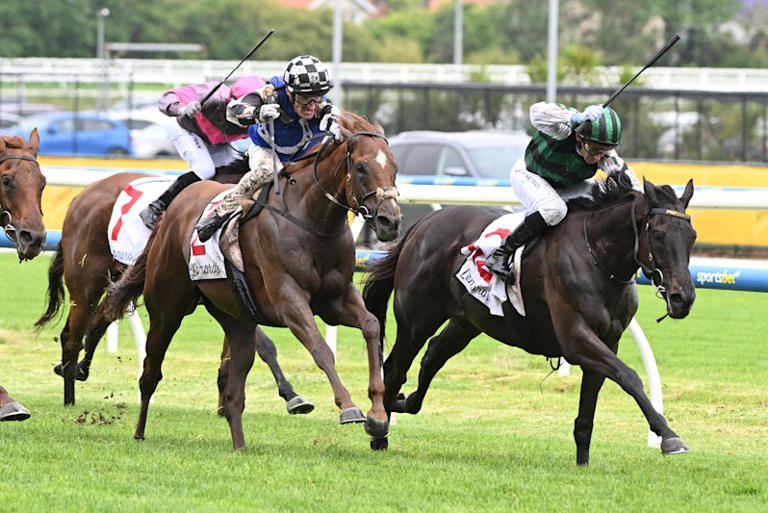 Pride up for the challenge with Poison Chalice in Civic Stakes shot
