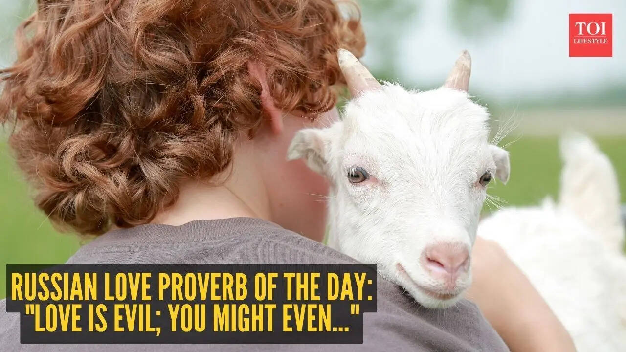 Russian love proverb of the day: "Love is evil; you might even..."