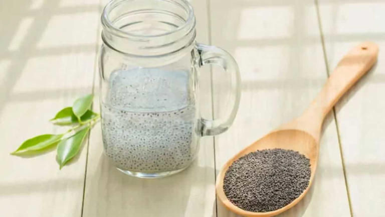 Sabja vs chia: Which seed works better in Indian summers?