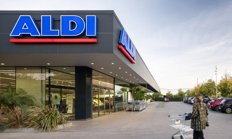Llegan a Aldi el próximo 27 de junio unos farolillos bohemios que se ...