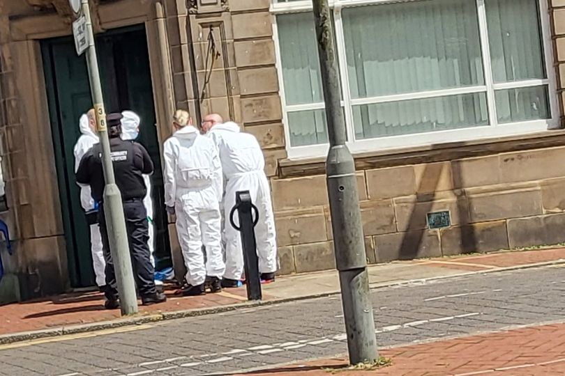 More than 1,000 cannabis plants reportedly found during raid at ...