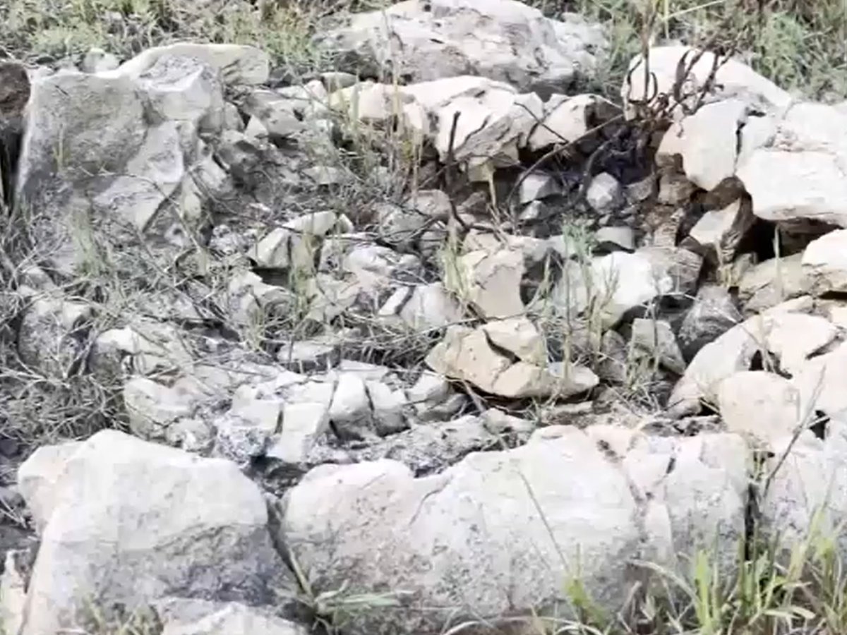 15-million-year-old Asura Hadda (demon bones) found in Odisha's ...