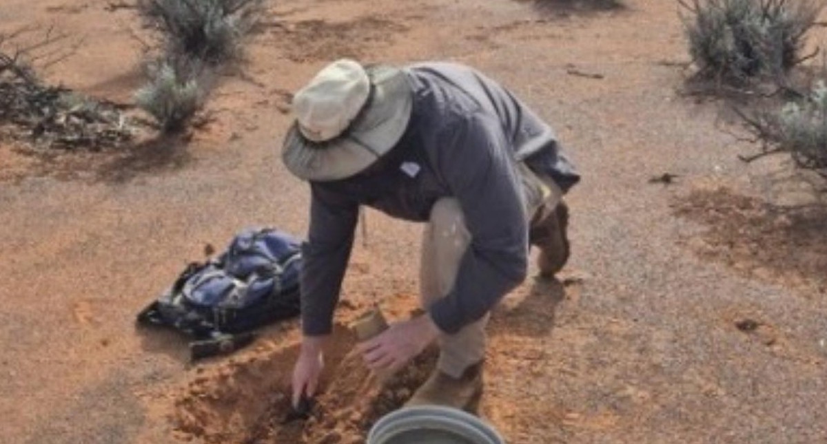 Auravelle Metals advancing Kal Gold targets with soil sampling completed