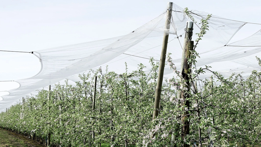 Exploring Cosby, Tennessee's orchards, trails, and history