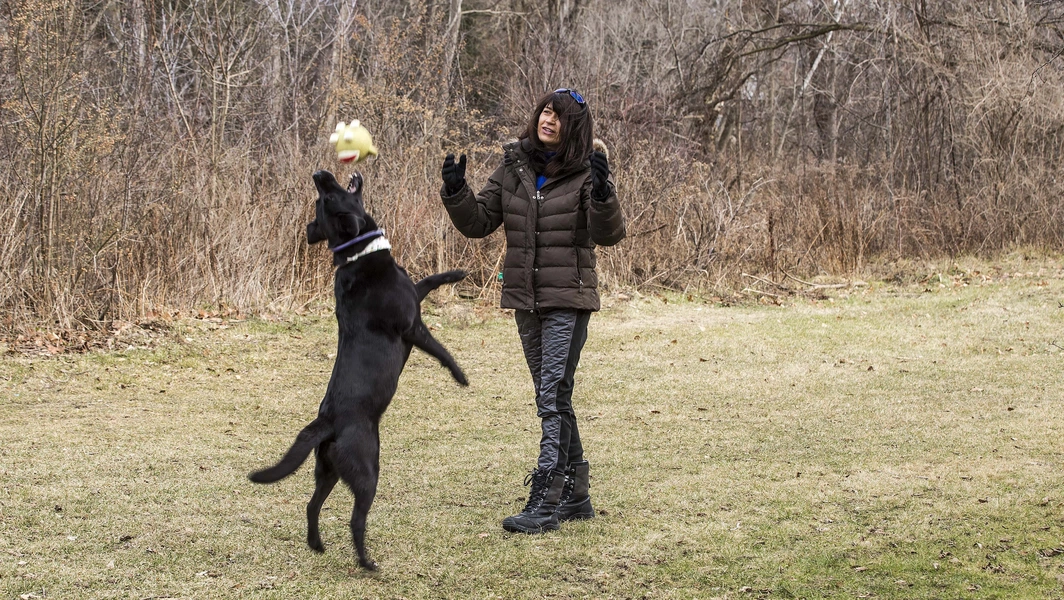 13 things dogs love that strengthen your bond