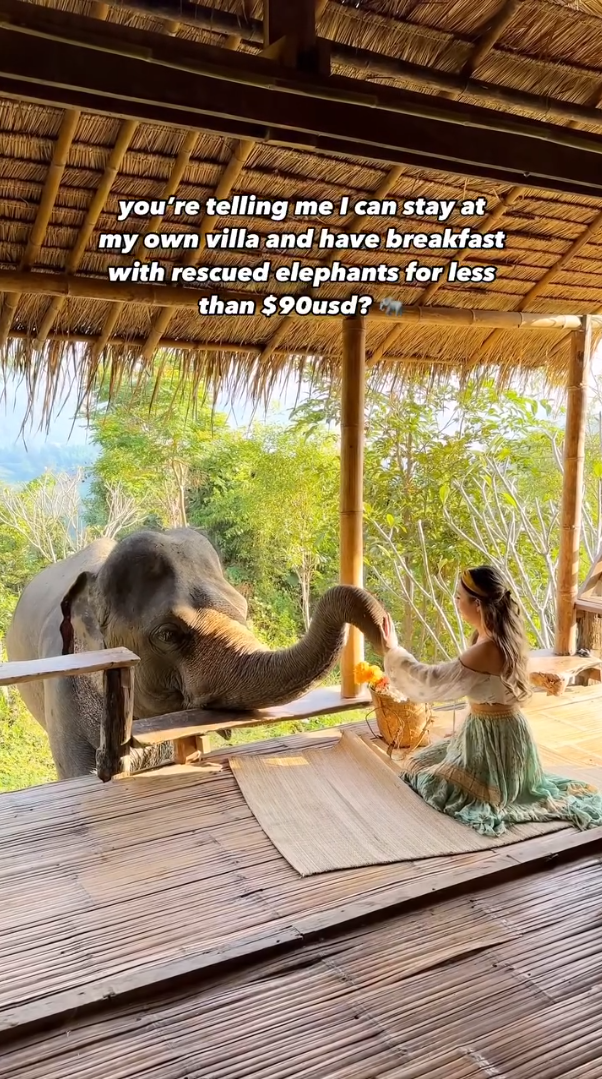 The best breakfast date with elephants in Thailand bucket list stay