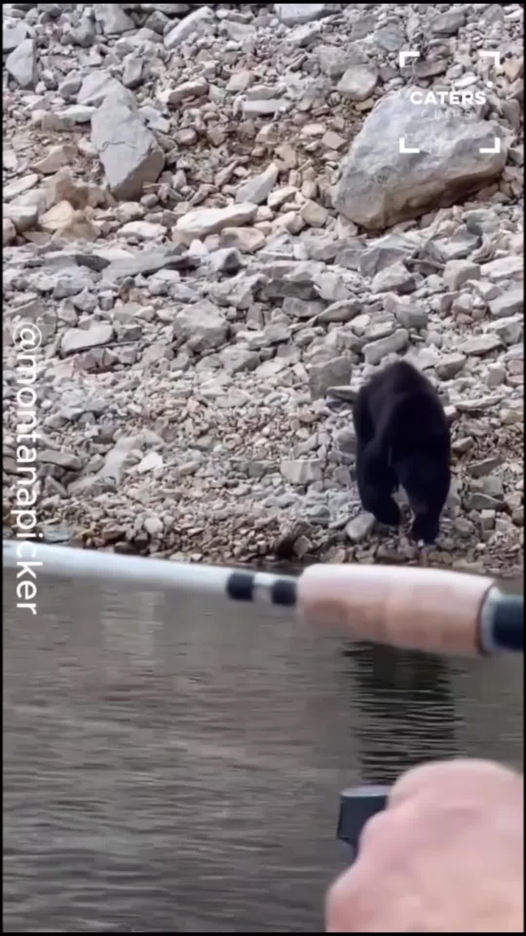 Fishing trip turns tense when black bear enters water