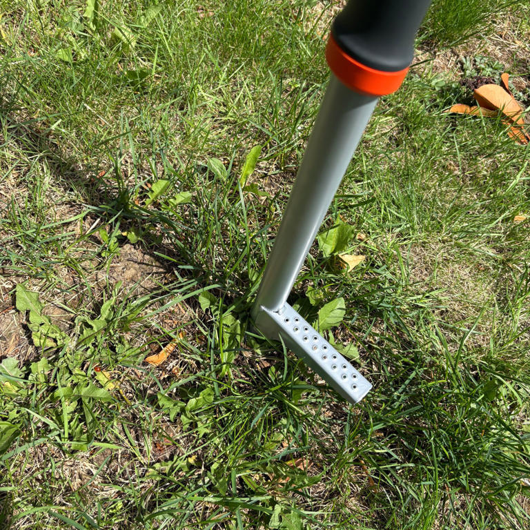 My lawn is dry and compacted, but this weed puller made removing the ...