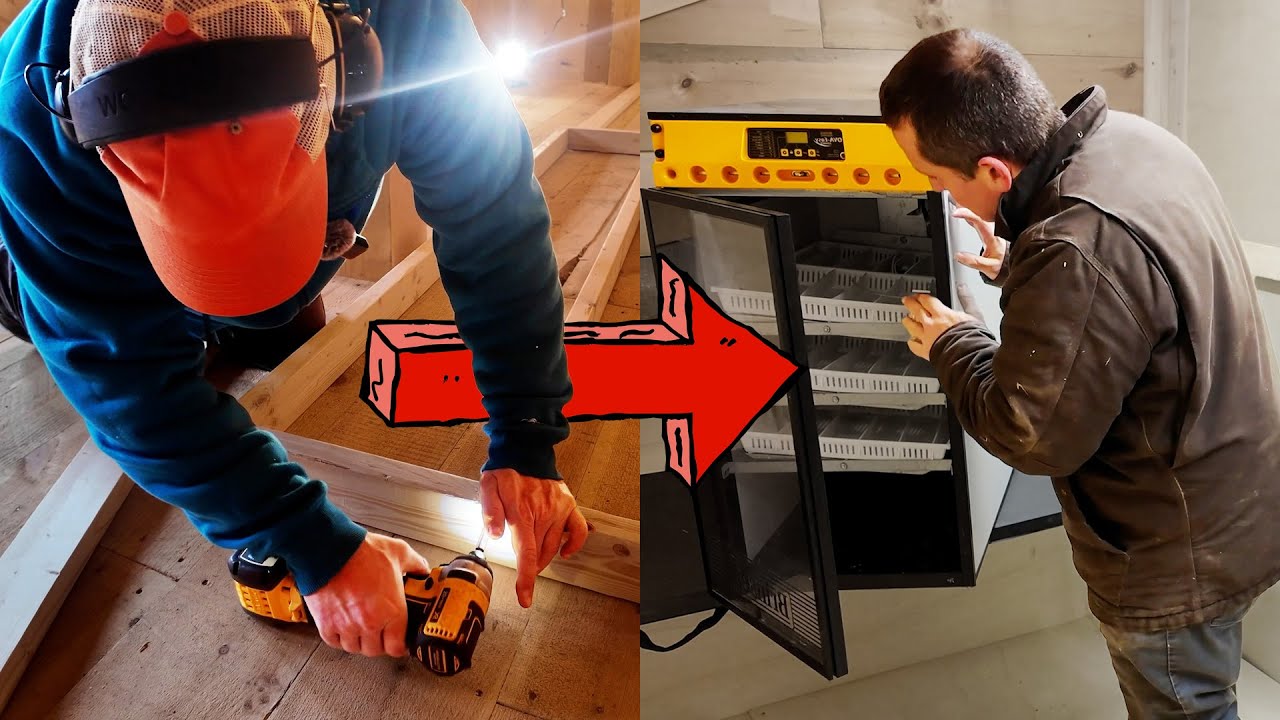 Watch a bird hatchery get built in a complete timelapse