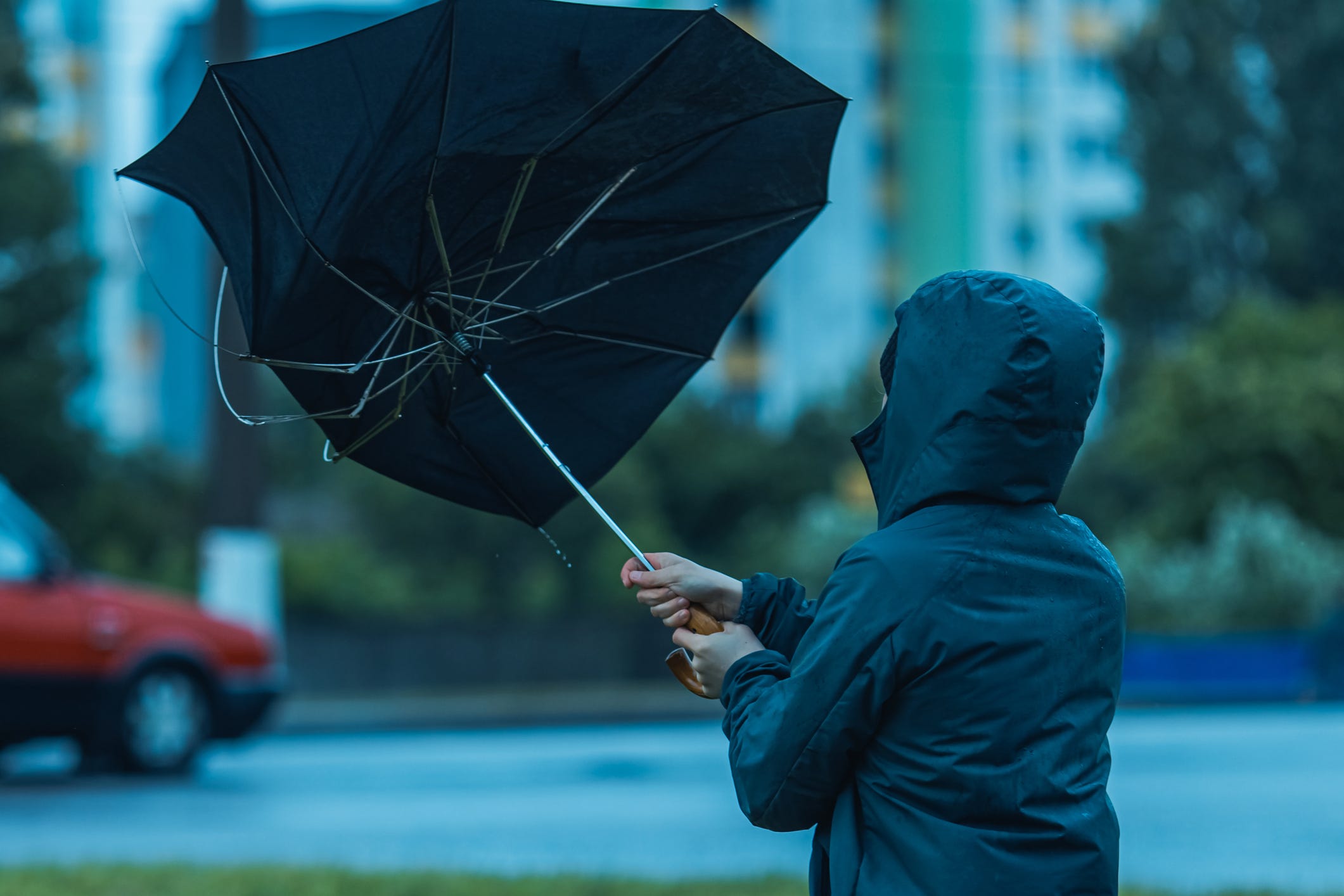 High wind warning issued across parts of New York; gusts up to 55 mph