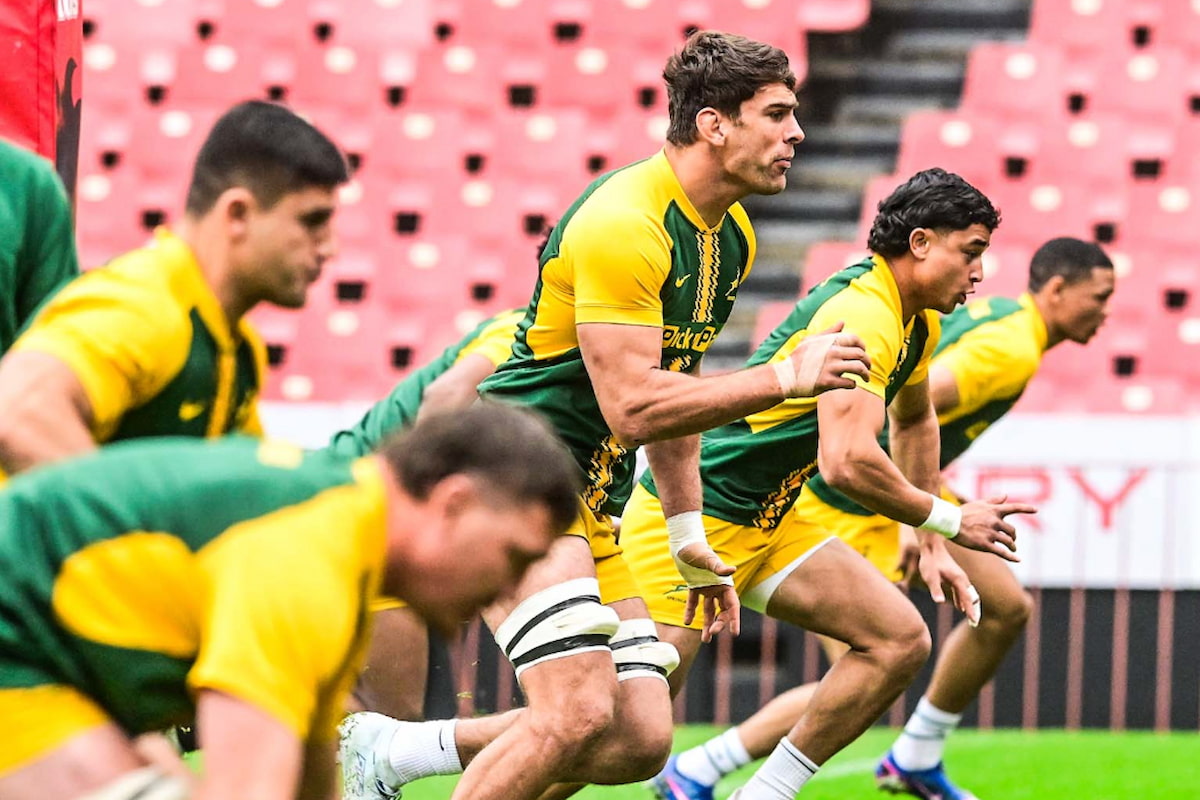 Three rookies ready to springboard into Springbok test squad