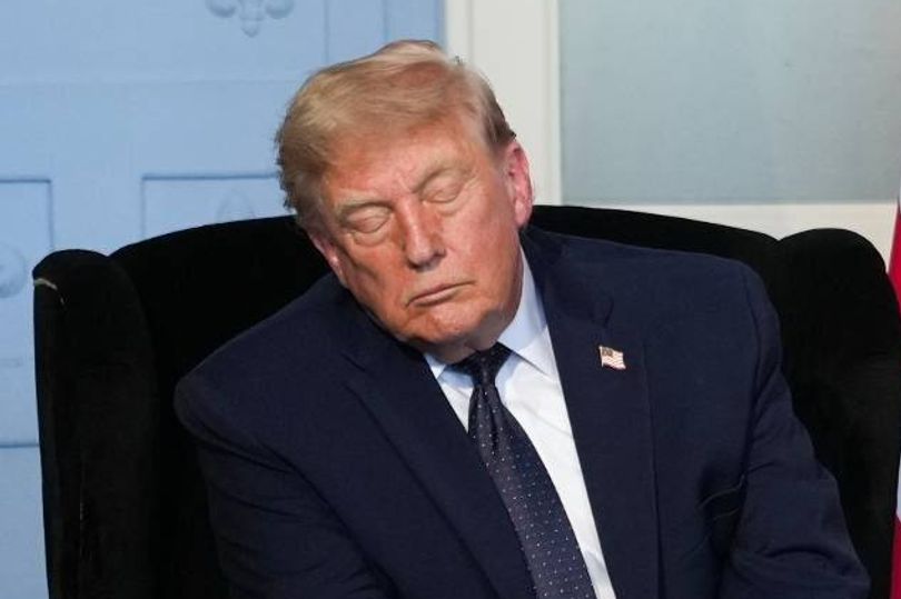 Fox News halted as viewers adamant Donald Trump on verge of collapse at ...