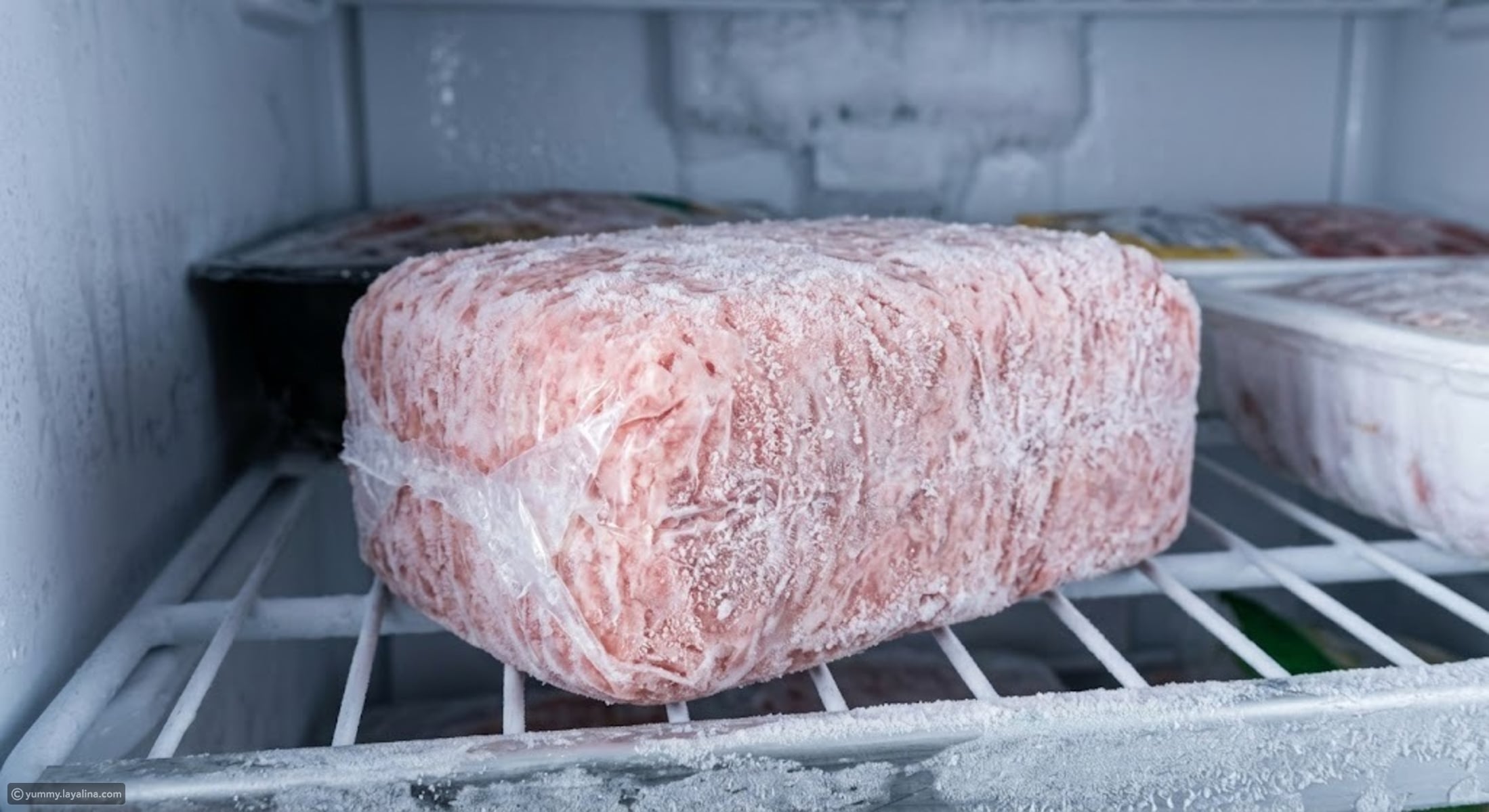 Safely thaw frozen food in the refrigerator without risk