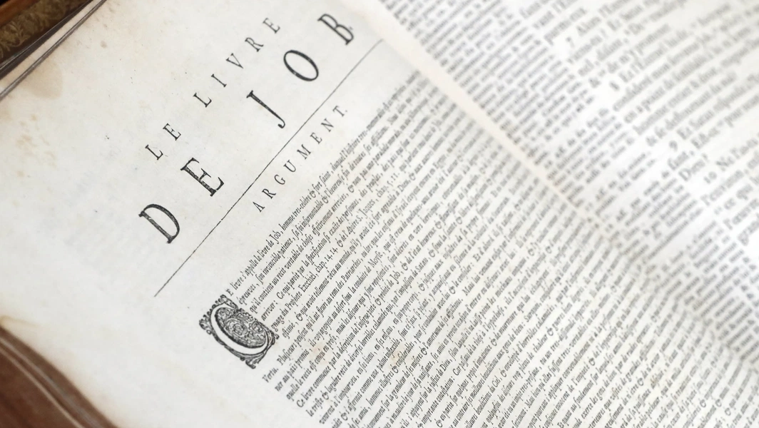 Exploring the biblical behemoth