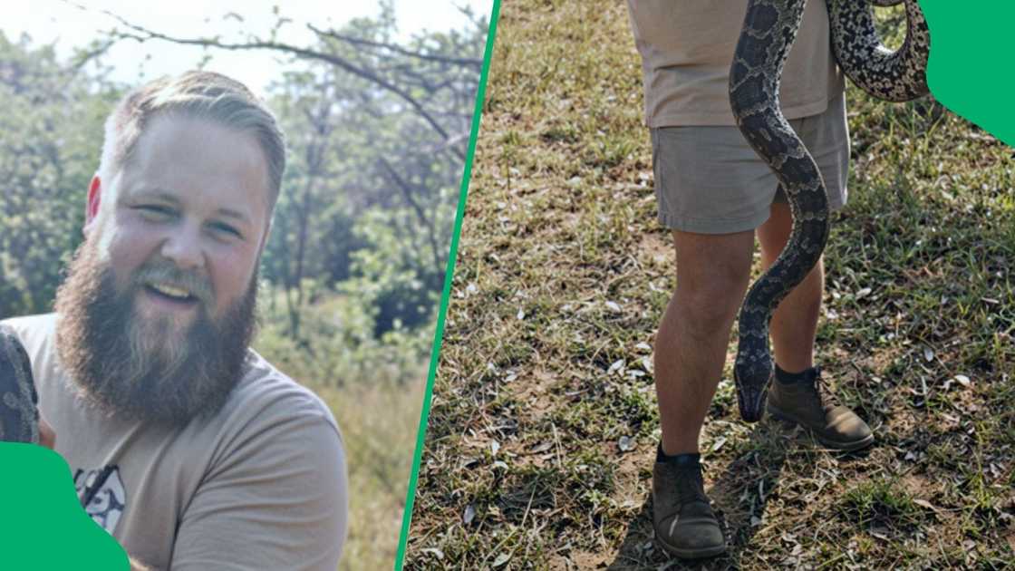 Snake handler endures python bites while teaching about snakes