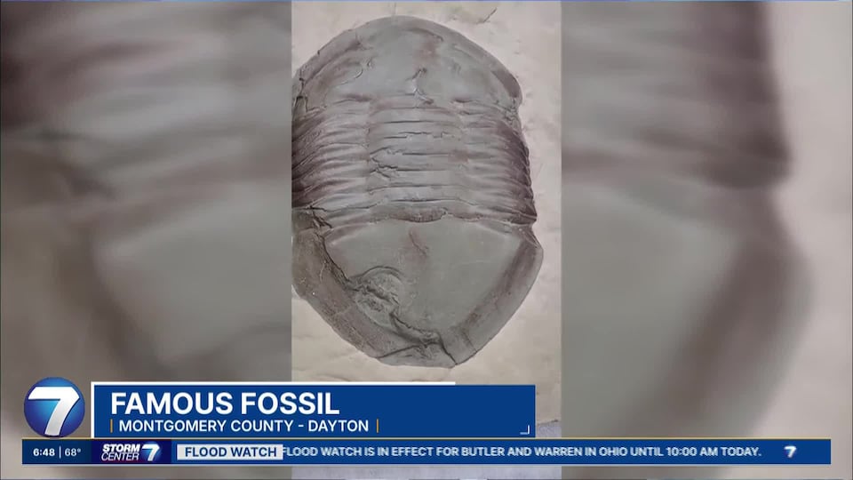 1 of Ohio's famous fossils to be displayed next week