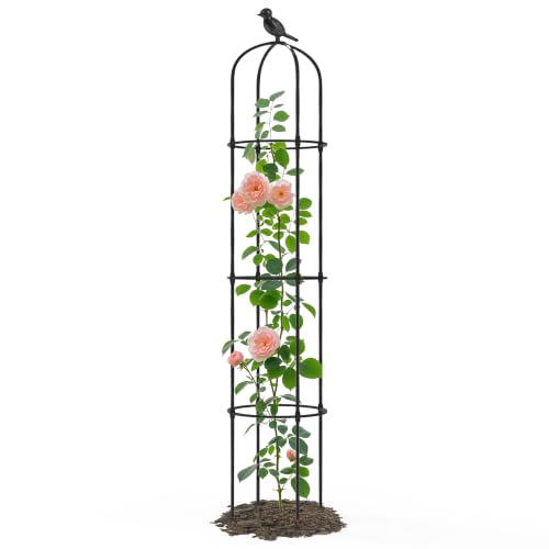 These 7 beautiful trellises will turn climbing plants into the stars of ...