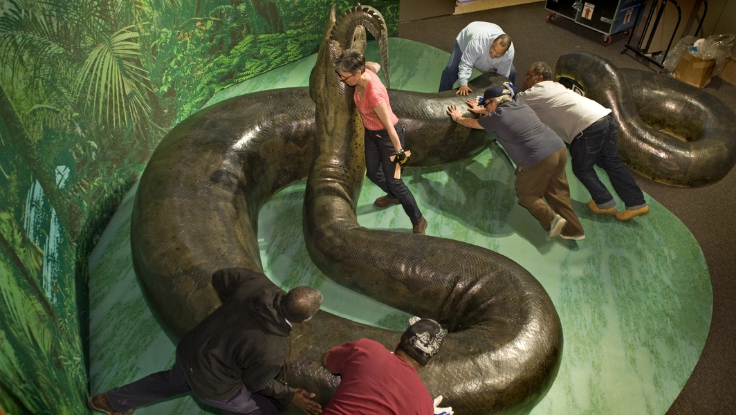 Prehistoric giants: Vasuki indicus and ancient snake evolution