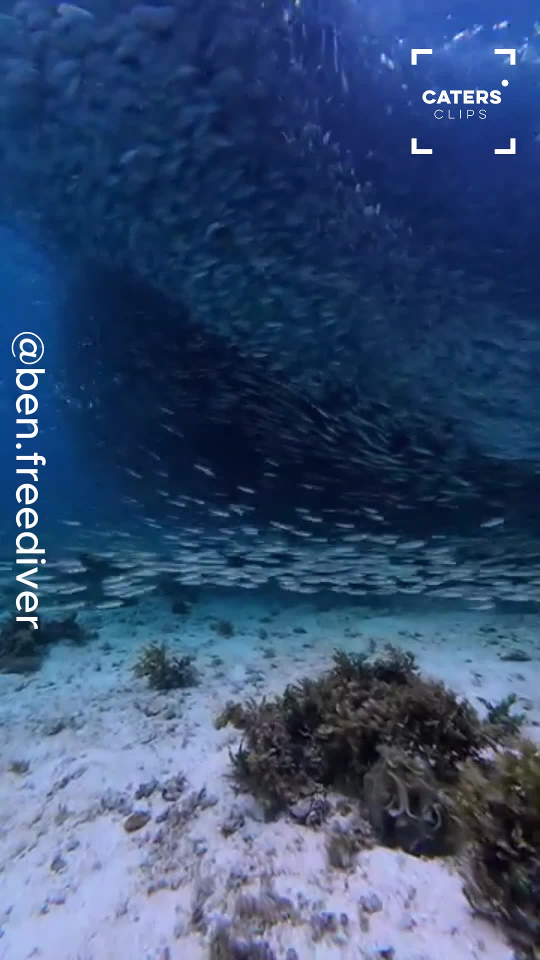 Ocean phenomenon leaves diver in awe
