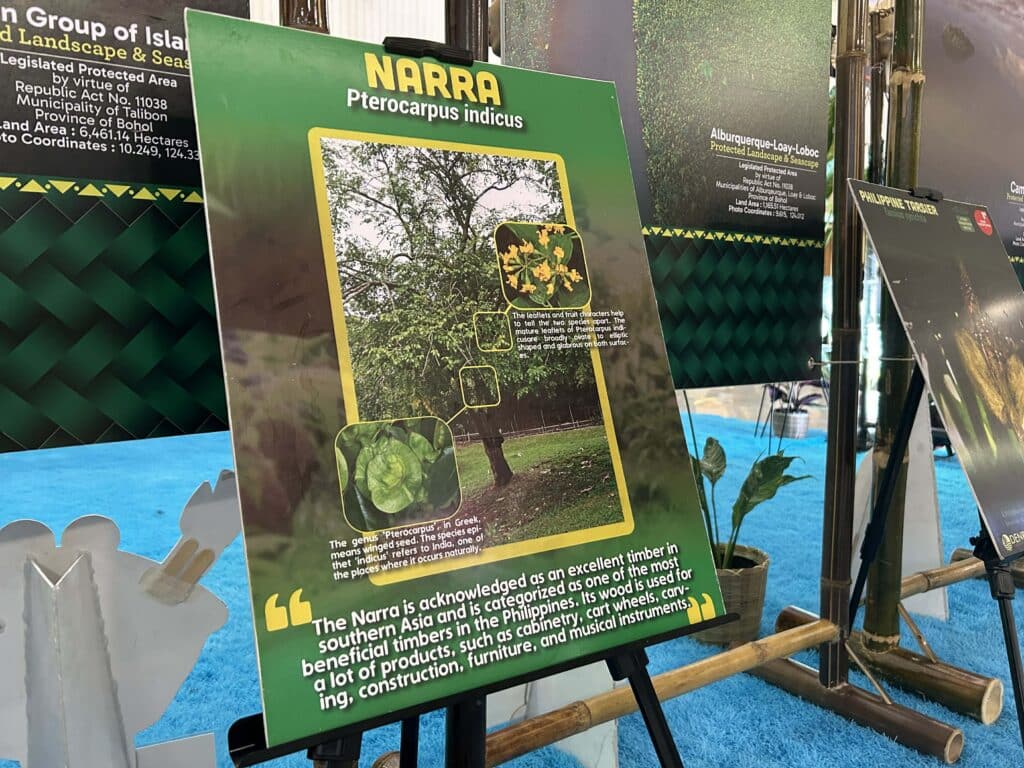 Nature’s treasures: DENR features 22 protected areas in Cebu, Bohol