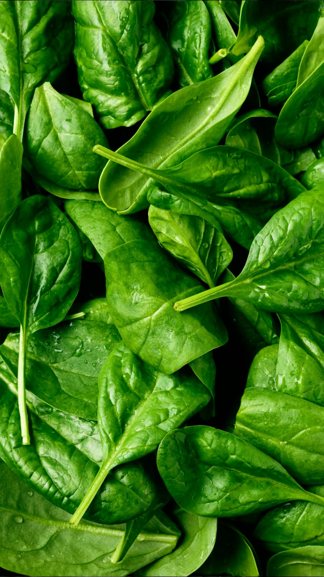 What eating spinach every day can do for your health