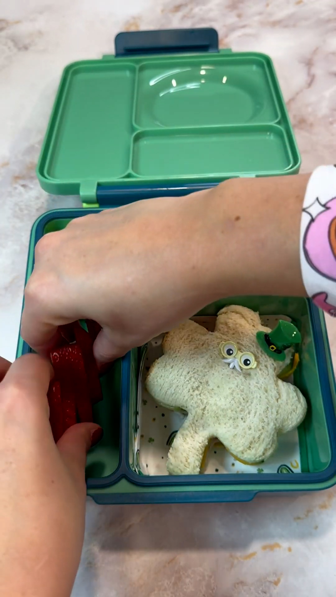 Festive green themed lunchbox celebrating Irish heritage perfect for ...