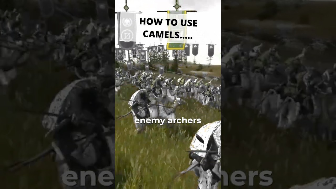 How to use camel cataphracts in Total War Rome 2