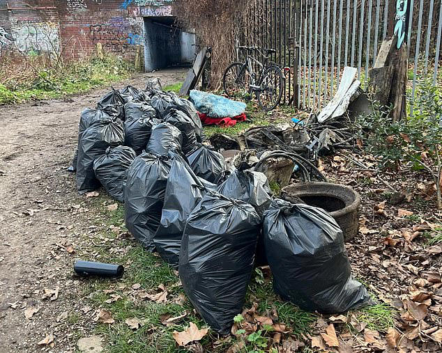 Well-meaning barrister who cleaned up rubbish-infested river is probed ...