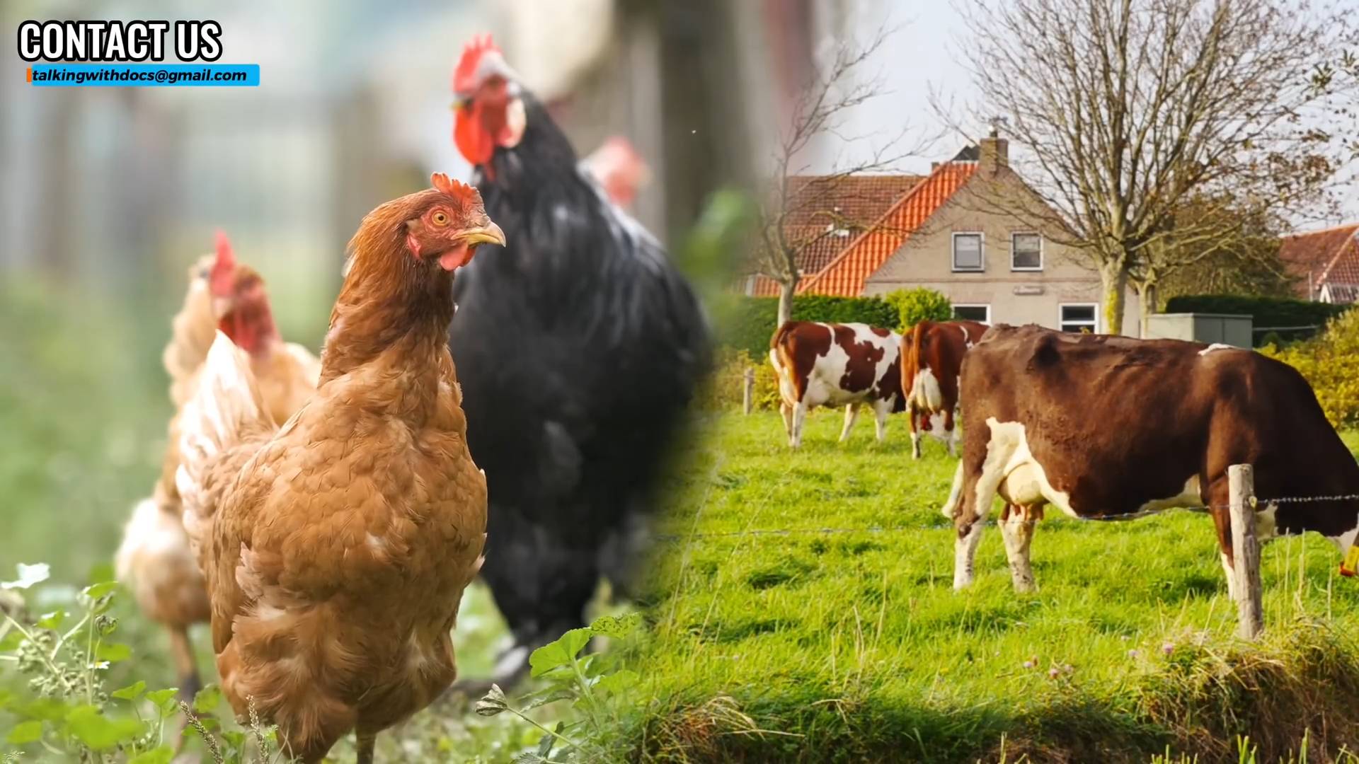 Why your grass matters more than you realize