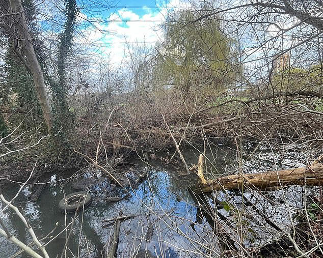 Do-gooder barrister who cleaned up rubbish-infested river is probed by ...