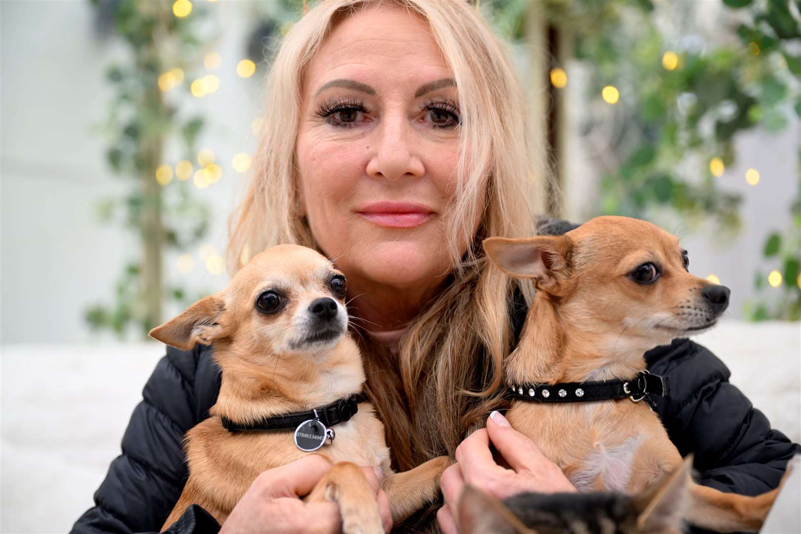 Woman bans her dogs from going outside because she keeps finding dead ...