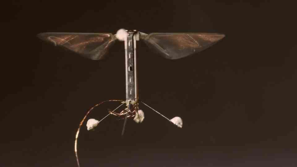 Watch a robot the size of a bee fly, swim, and explode out of water