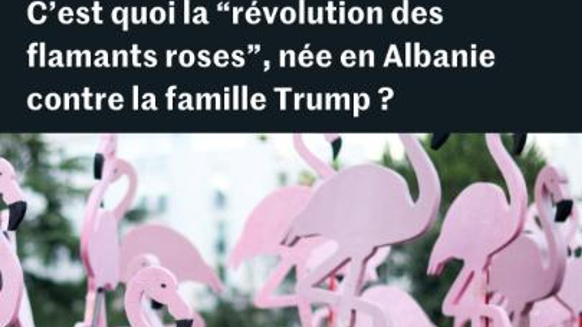 C’est quoi la « révolution des flamants roses », née en Albanie contre ...