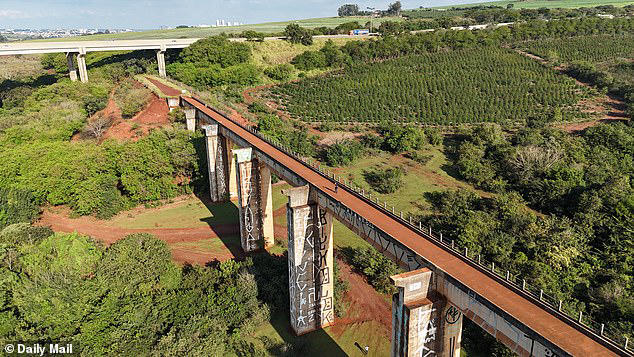 'Skeleton Bridge' to be demolished after student's bungee death