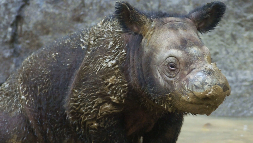 10 notable zoos across the United States