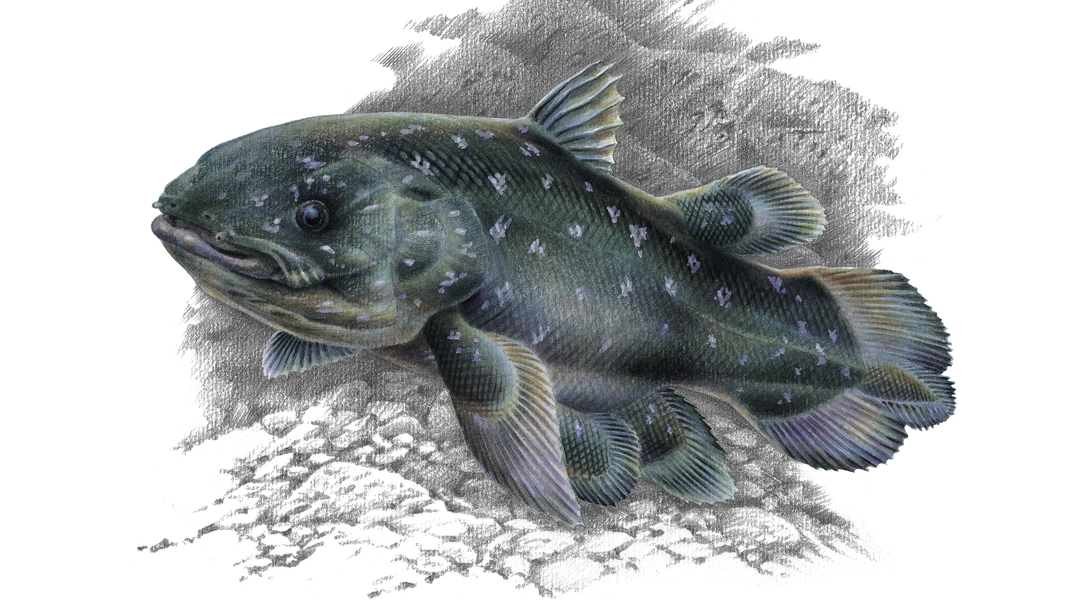 8 ancient species that still roam the Earth