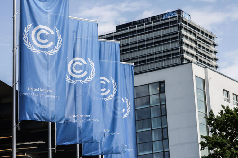 'Baby steps' at Bonn climate conference ahead of COP31, experts say