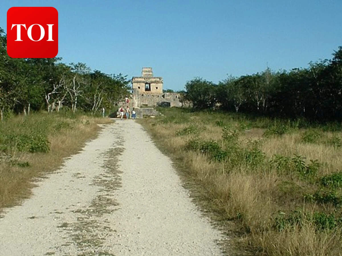 In 2018, LiDAR scans over Guatemala revealed 362 km of Maya causeways ...