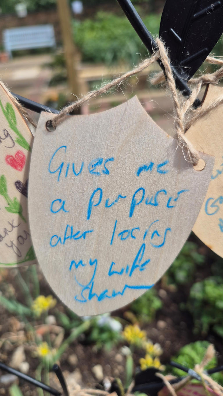 Community turns neglected plot into thriving garden