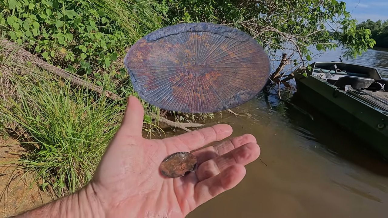 A River Hunt Found A Shark Tooth, “Millions Of Years,” Then A Fake ...