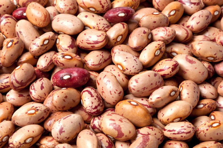 The 8 best beans for your health, ranked by dietitians