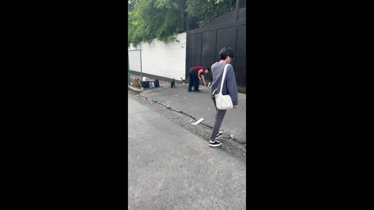 Elderly woman seen feeding stray cats in neighbourhood street
