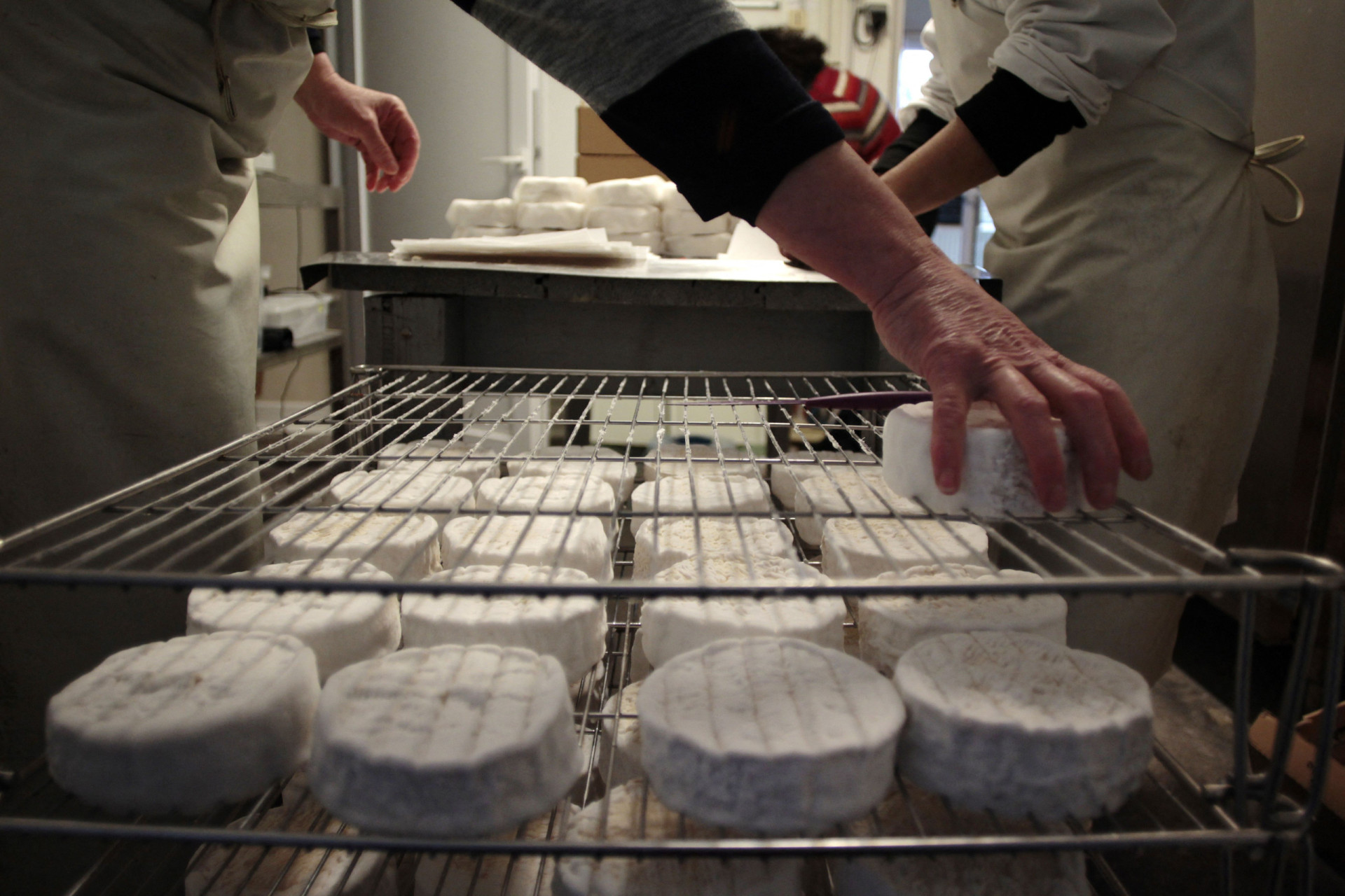 The best destinations for cheese lovers around the world