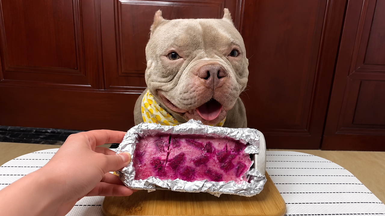 Watch what happens when a bulldog sees delicious food