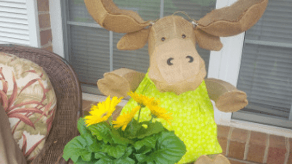 Police seek woman after moose sculpture stolen from Chambersburg front ...