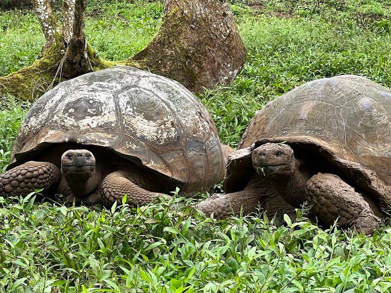 15 top-rated national parks around the world chosen by travelers