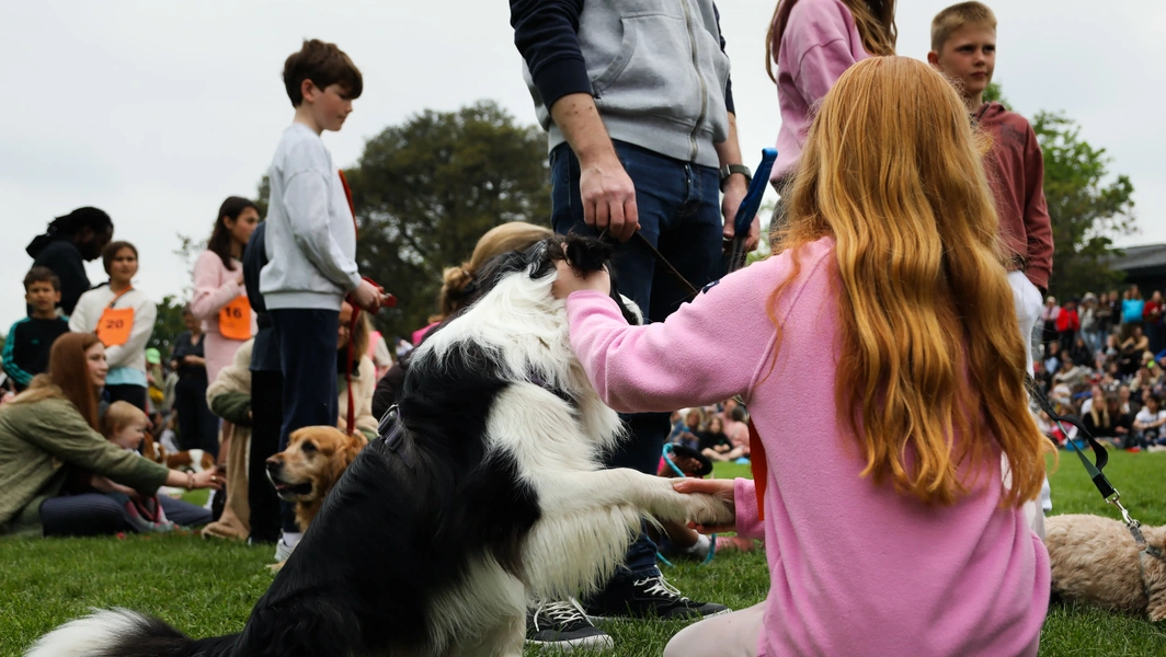 10 best dog breeds for families with children
