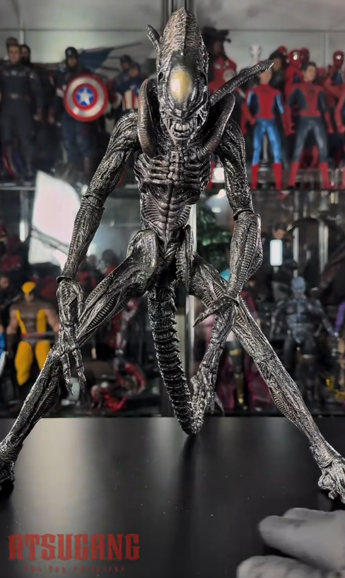 Alien warrior close up ASMR experience