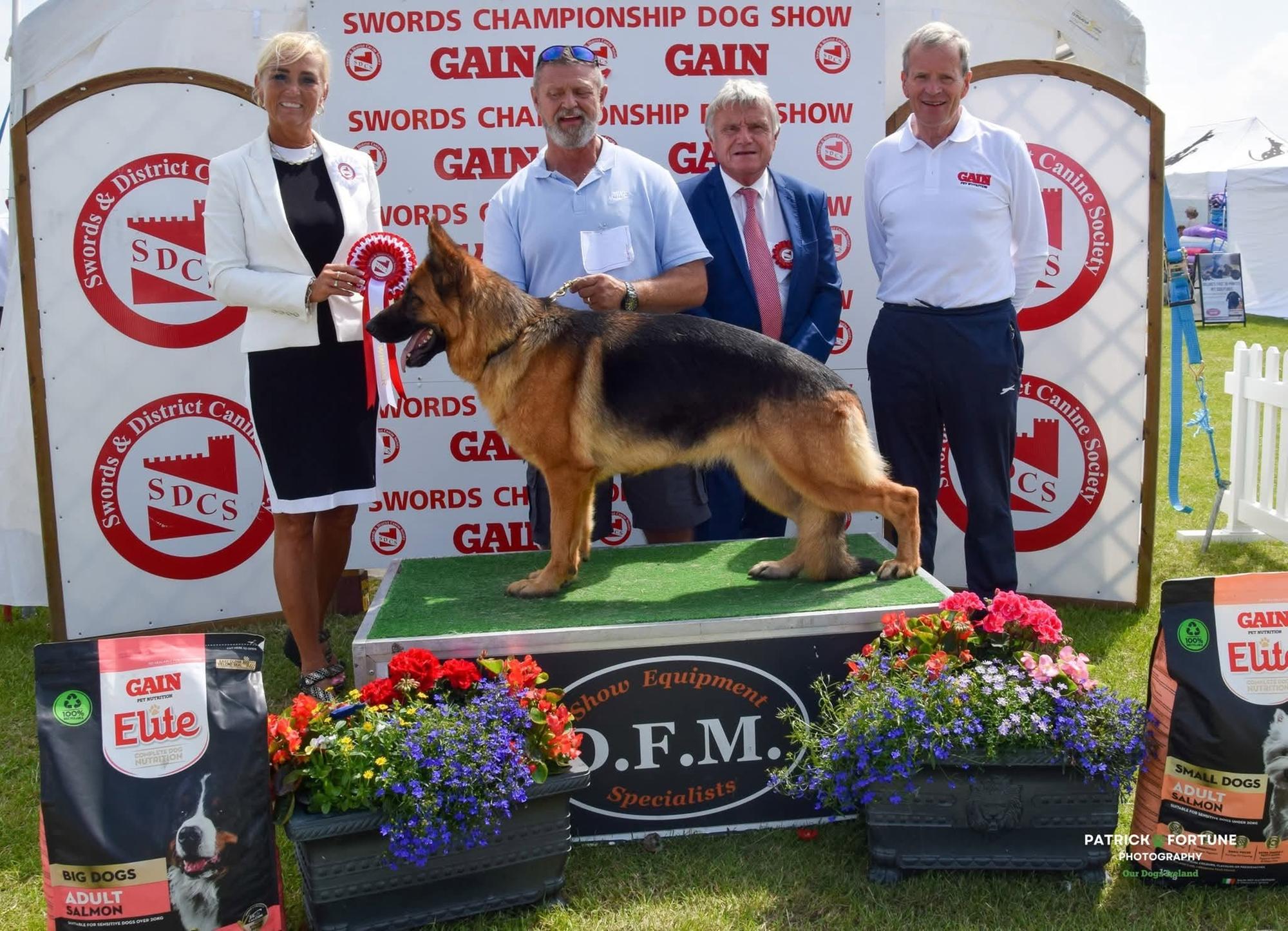 Top dog breeder Albert Balmer reveals how passion for improving German ...